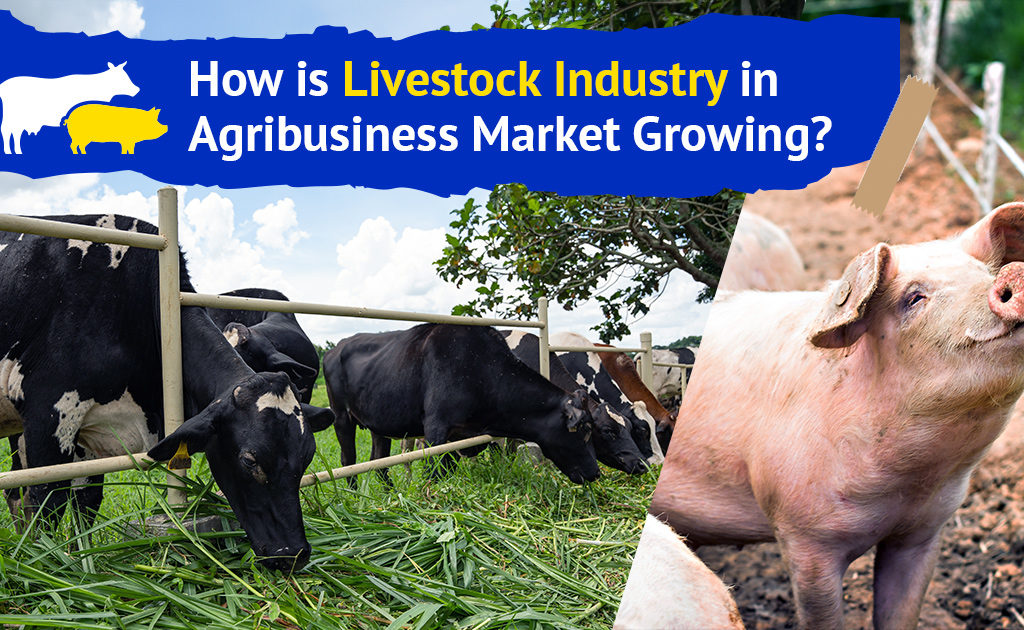 How is Livestock Industry in Agribusiness Market Growing?